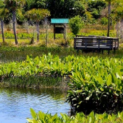 Having a exercise route in the park is important. | Martin County Parks ...