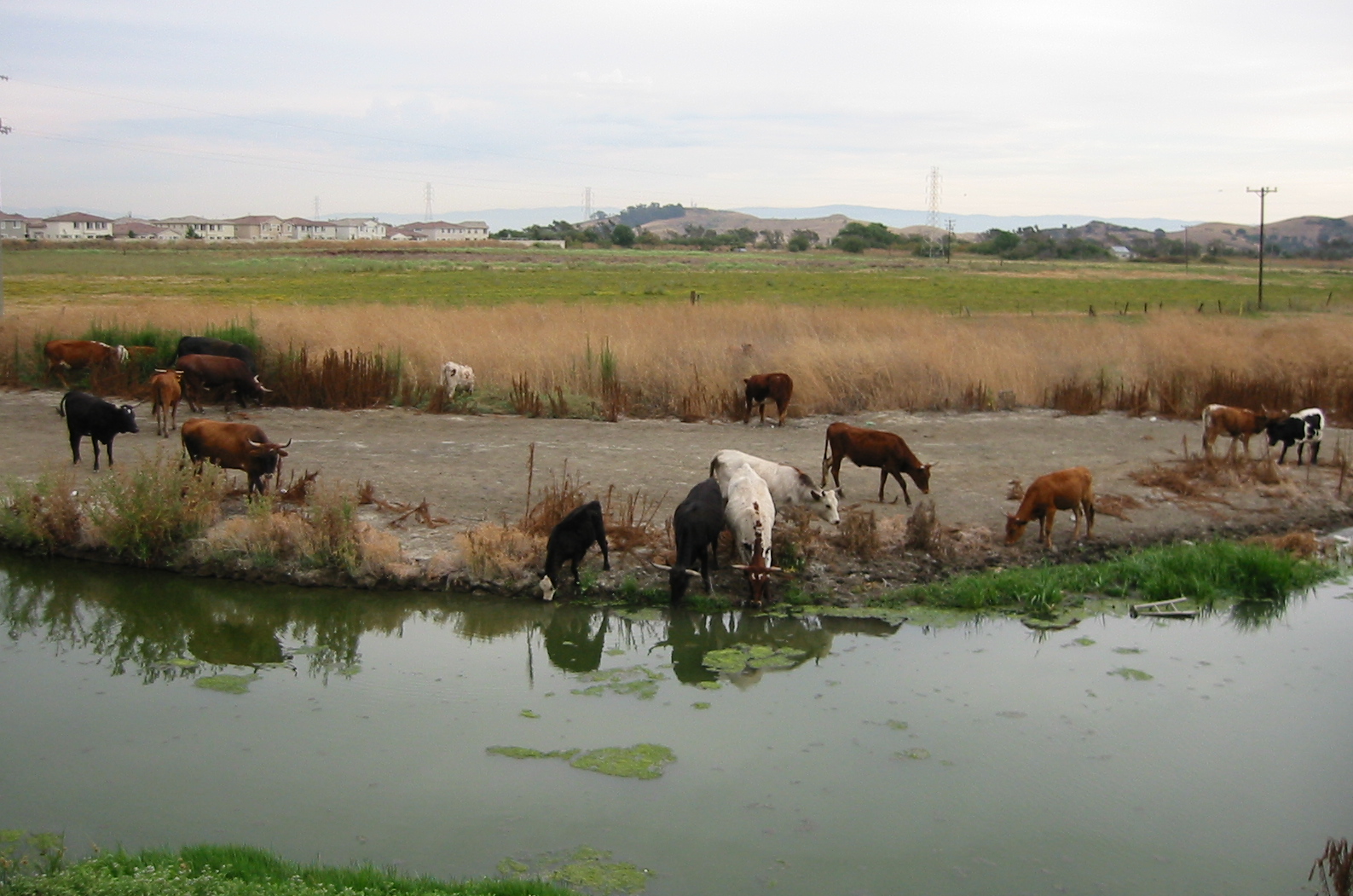 Keep the open space and farm land that we still have. | Union City ...